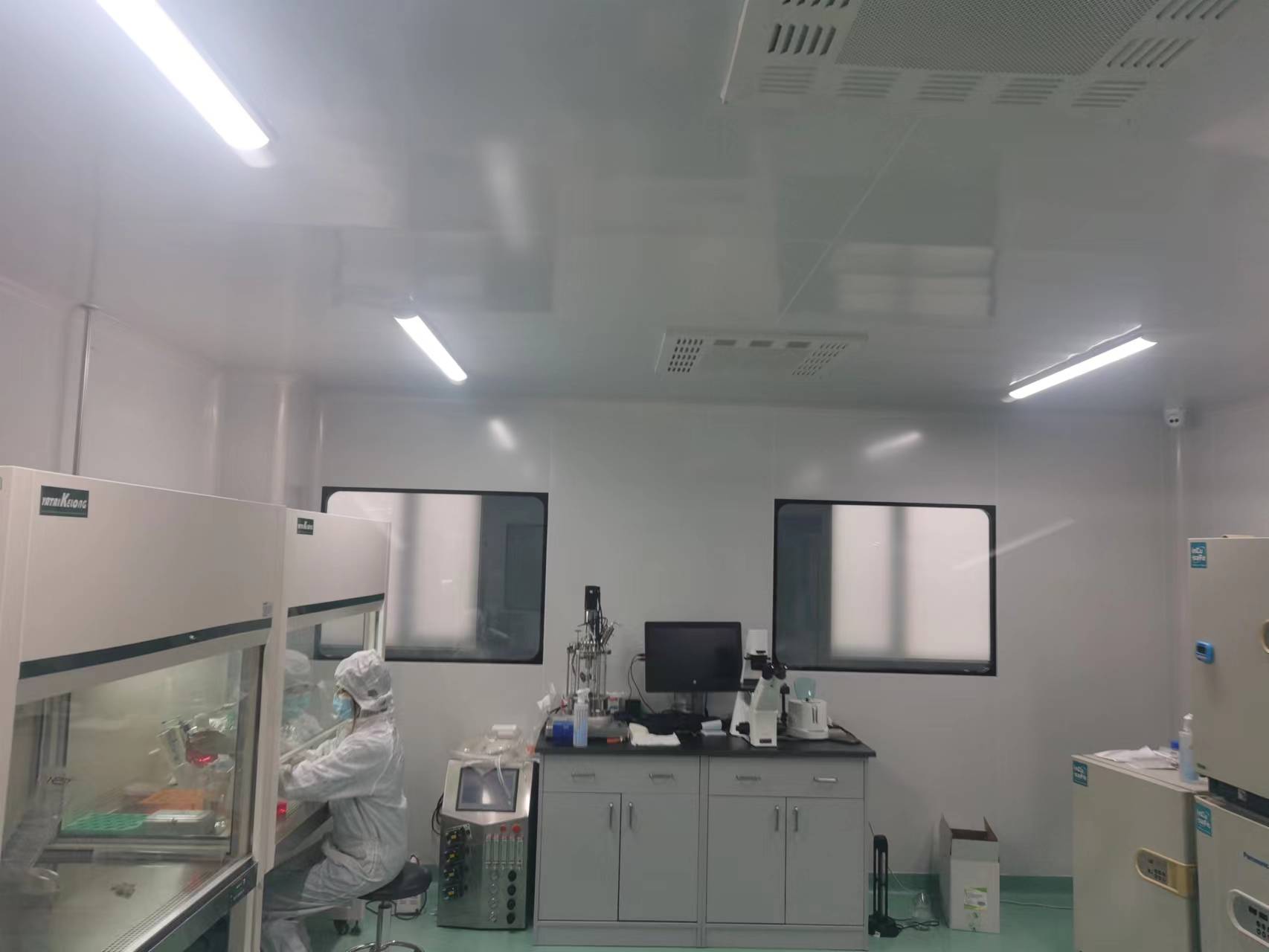 CRO/CDMO - 有限公司